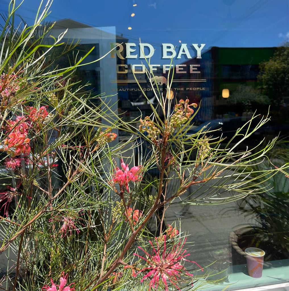 Bridging California and Copenhagen: The Roots of Red Bay Coffee